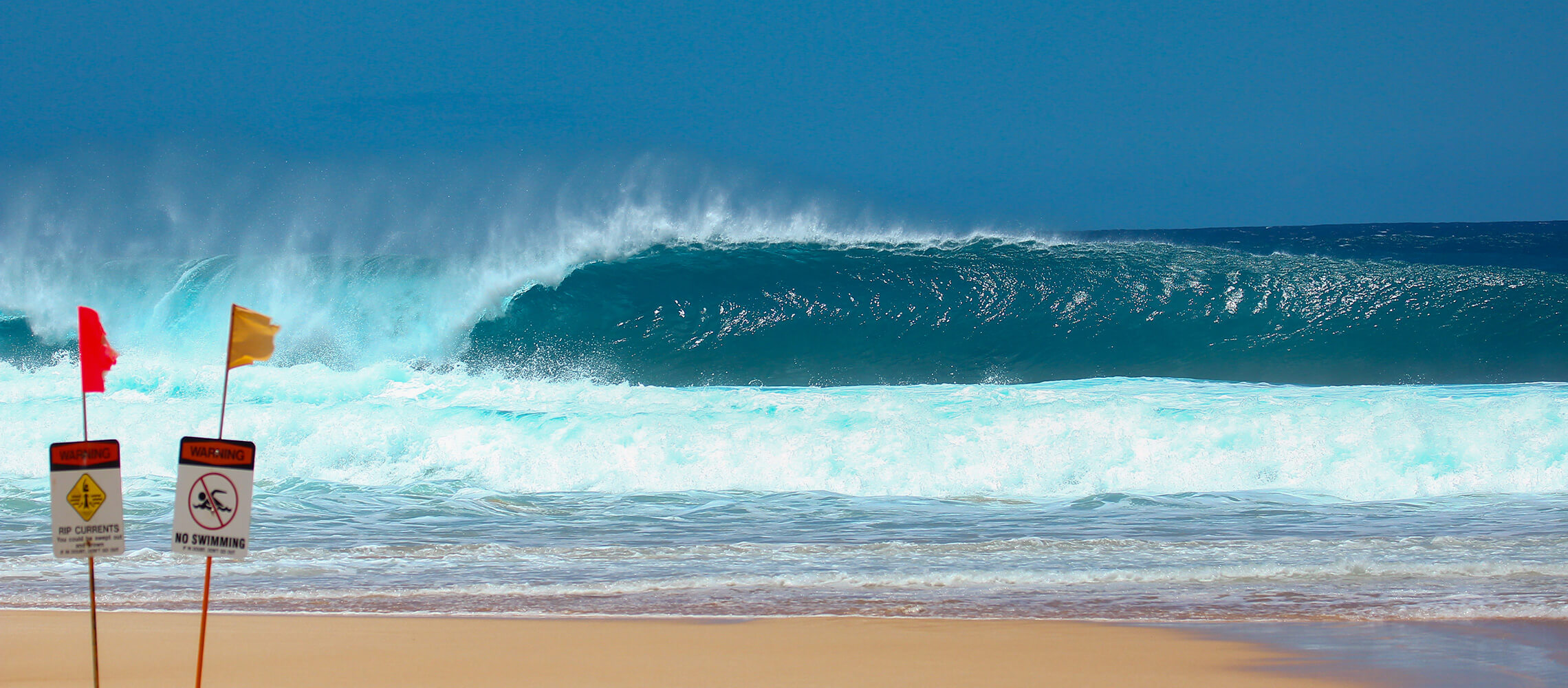 Luke Shepardson: Living His Happy - Bank of Hawaii